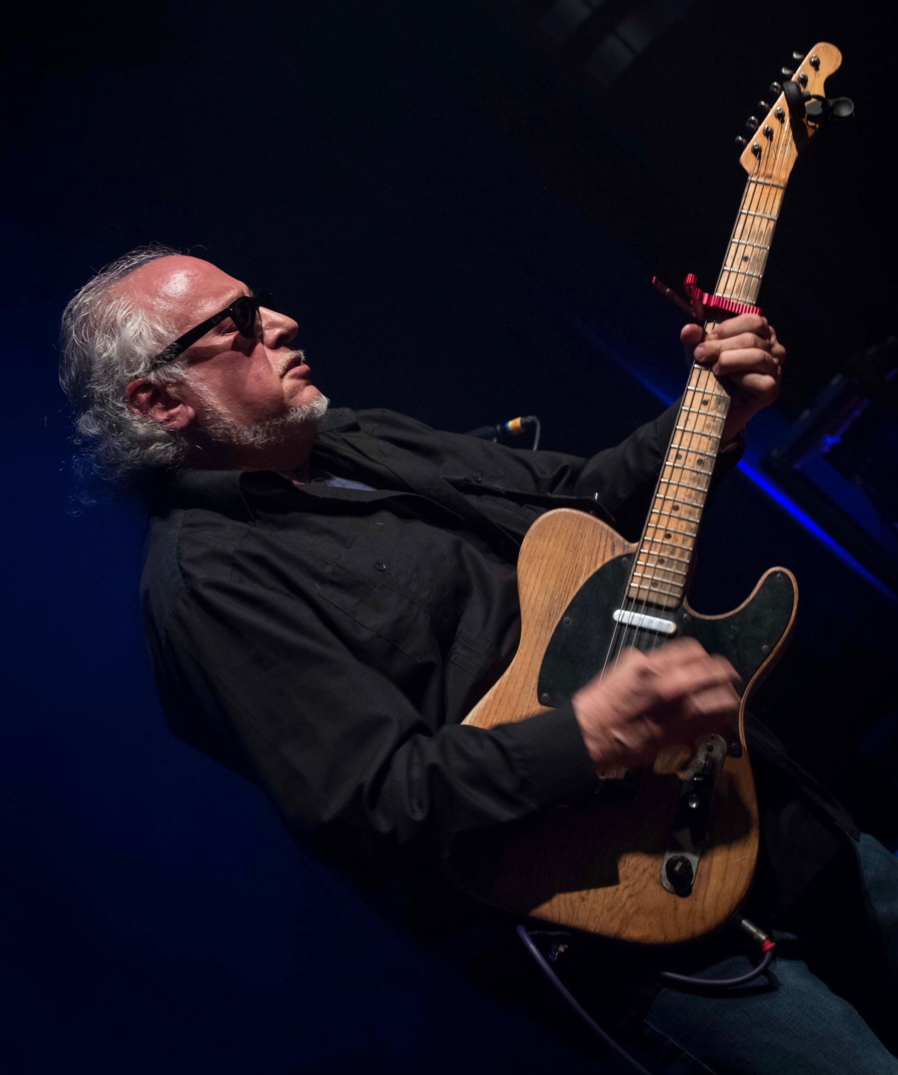 Bob Margolin - About