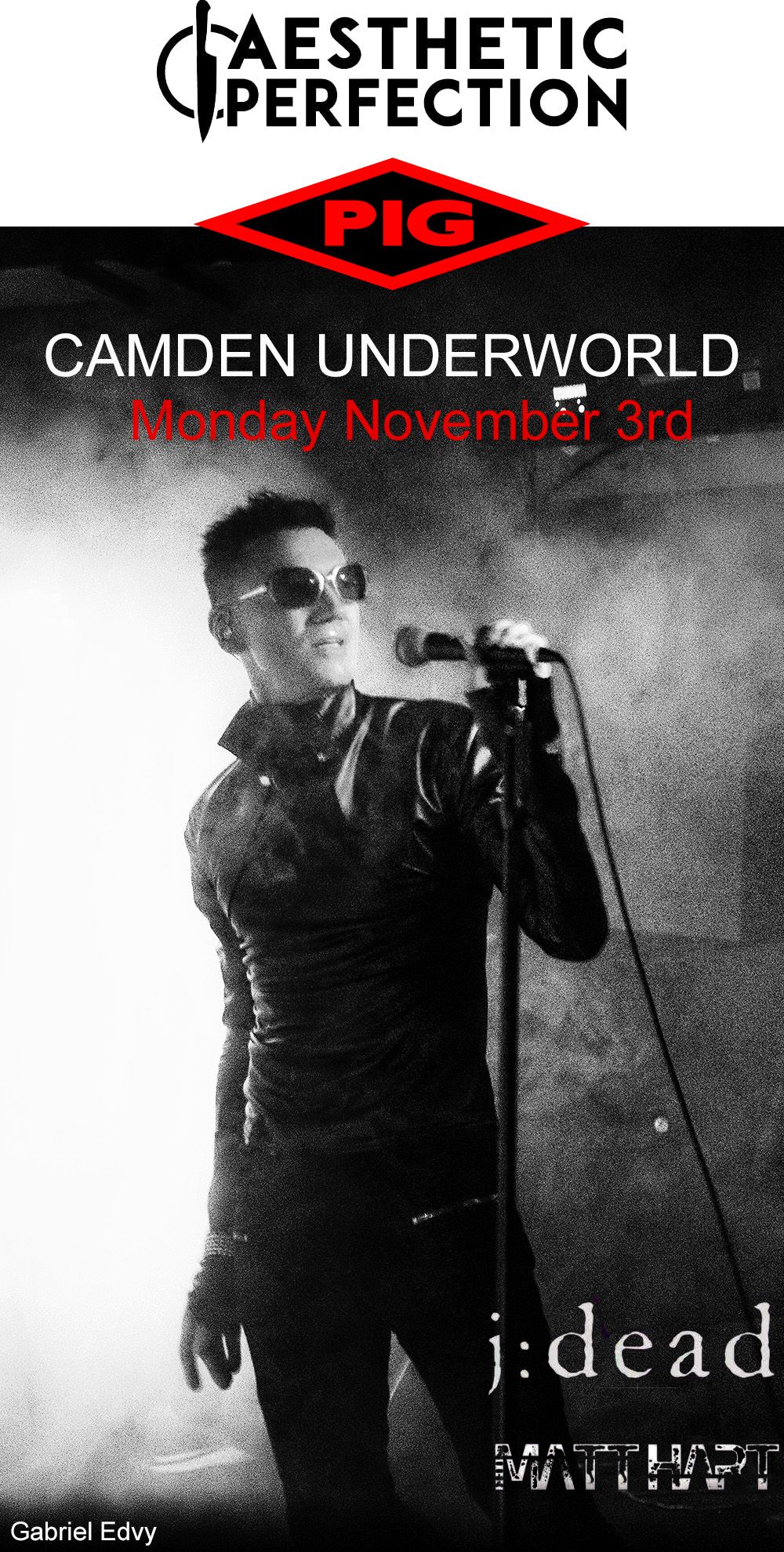 OFFICIAL SITE of , Raymond Watts' industrial rock band