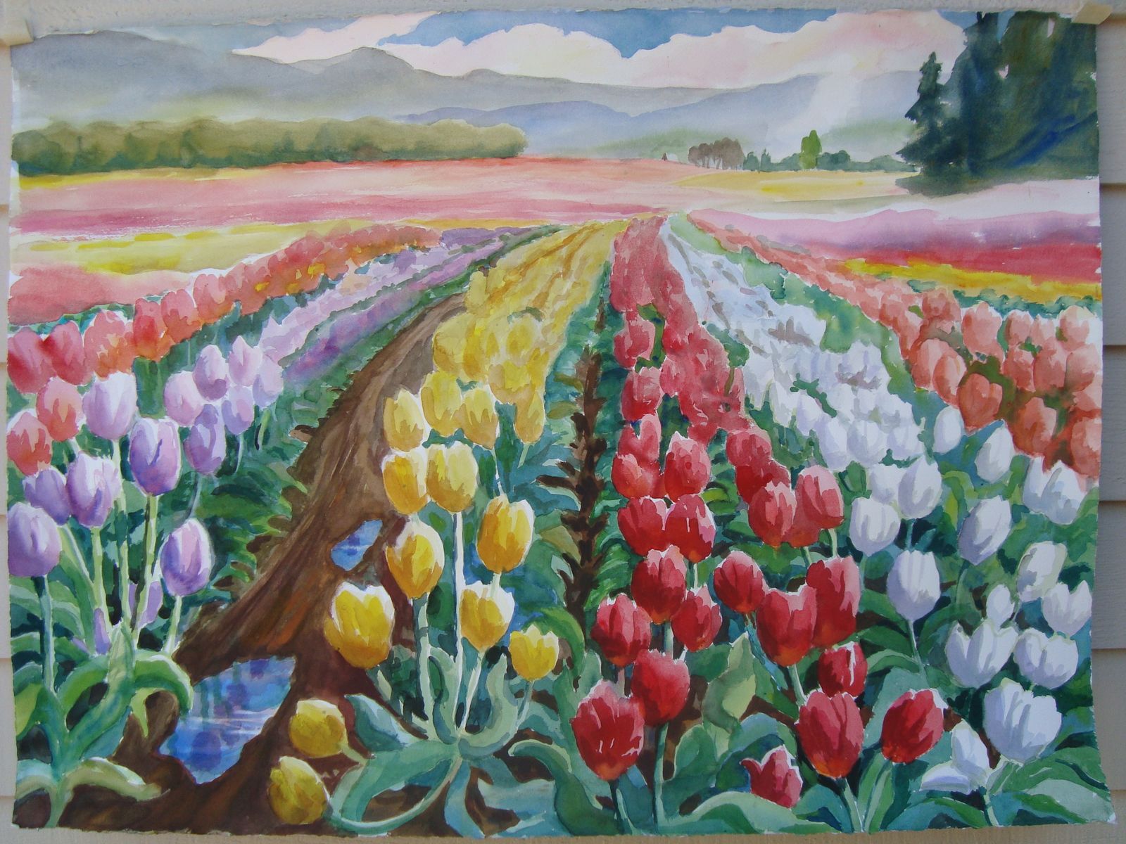 Susan Spears Art - Watercolors