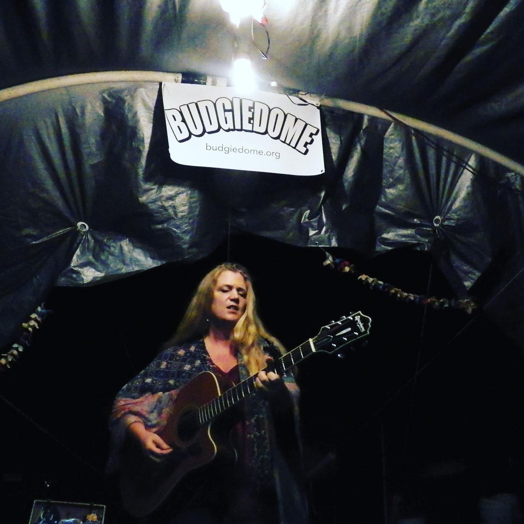 Marion Halliday Songwriter Website