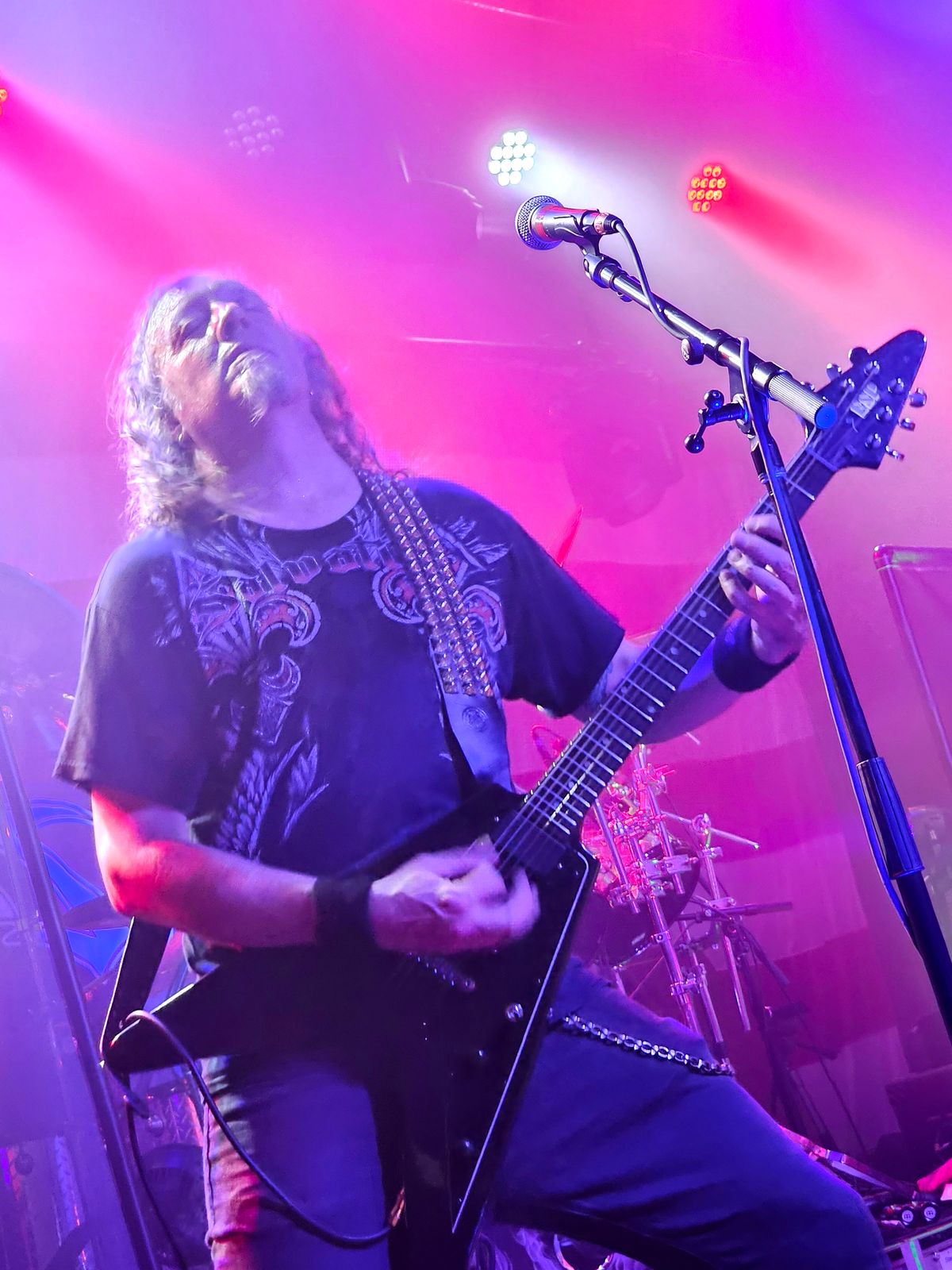 Wildside (New England) - Shows