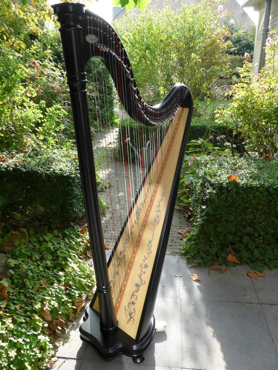 New Salvi Harp Ordered!