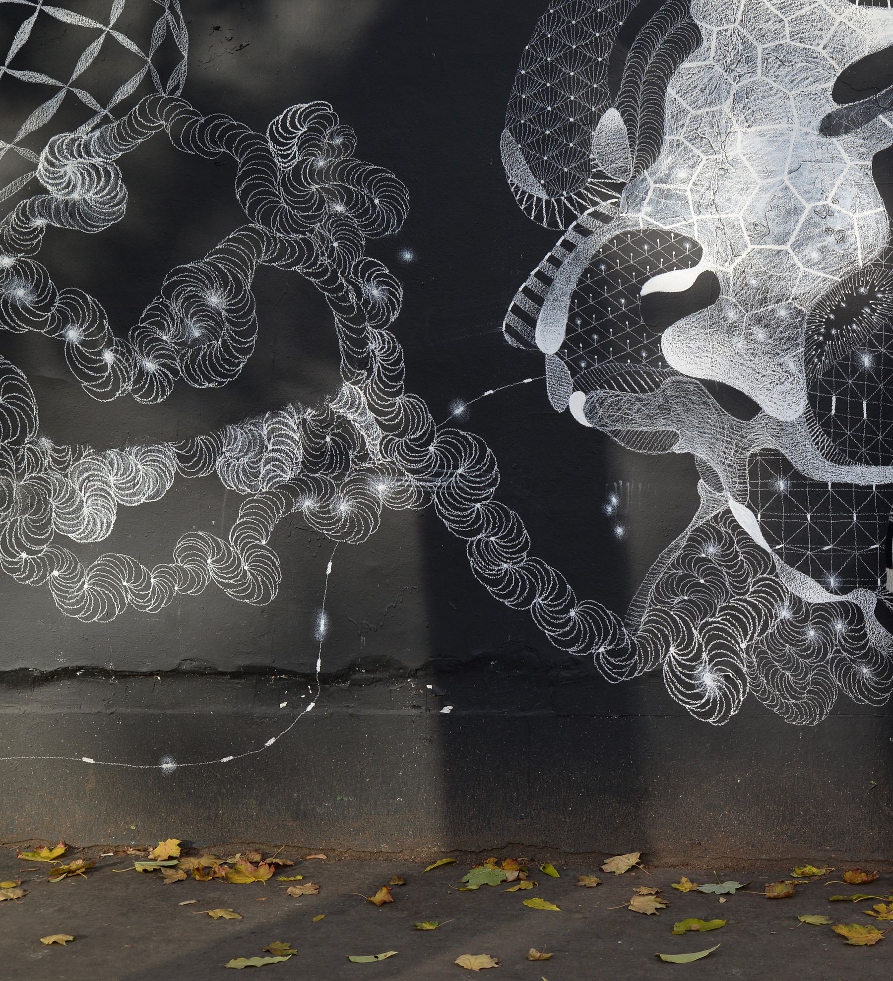 Lisa Lindsley & La Belle Epoque - About