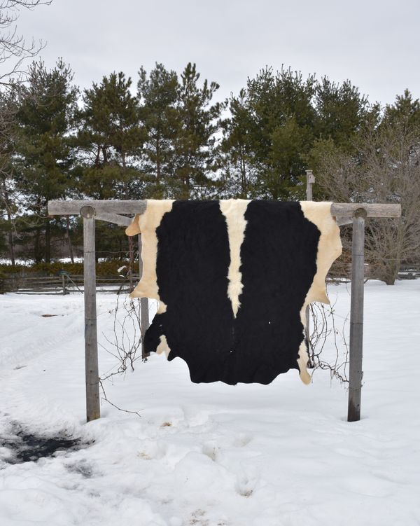 St. Isidore Farm - Our Store