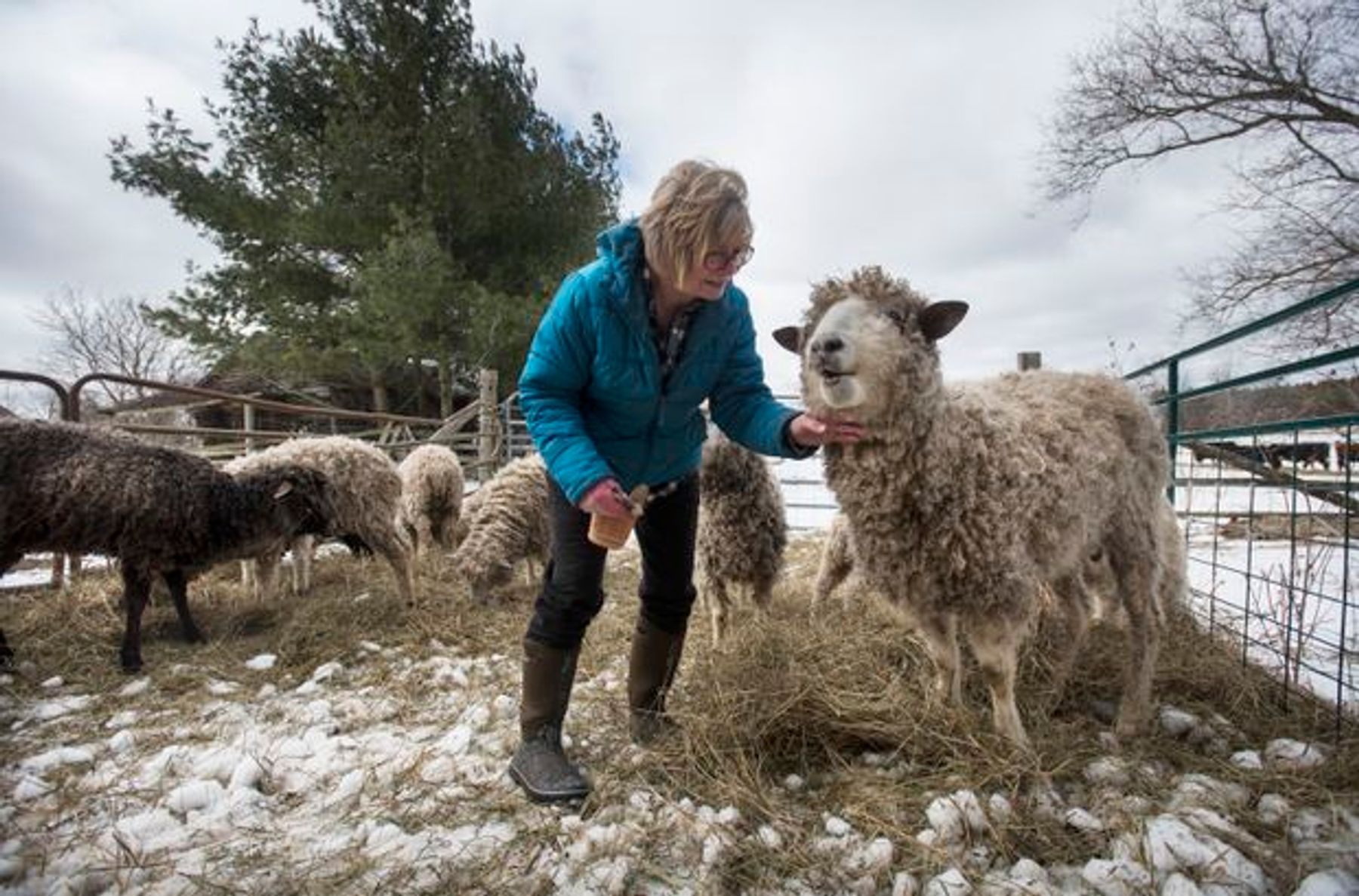 St. Isidore Farm - Our Store