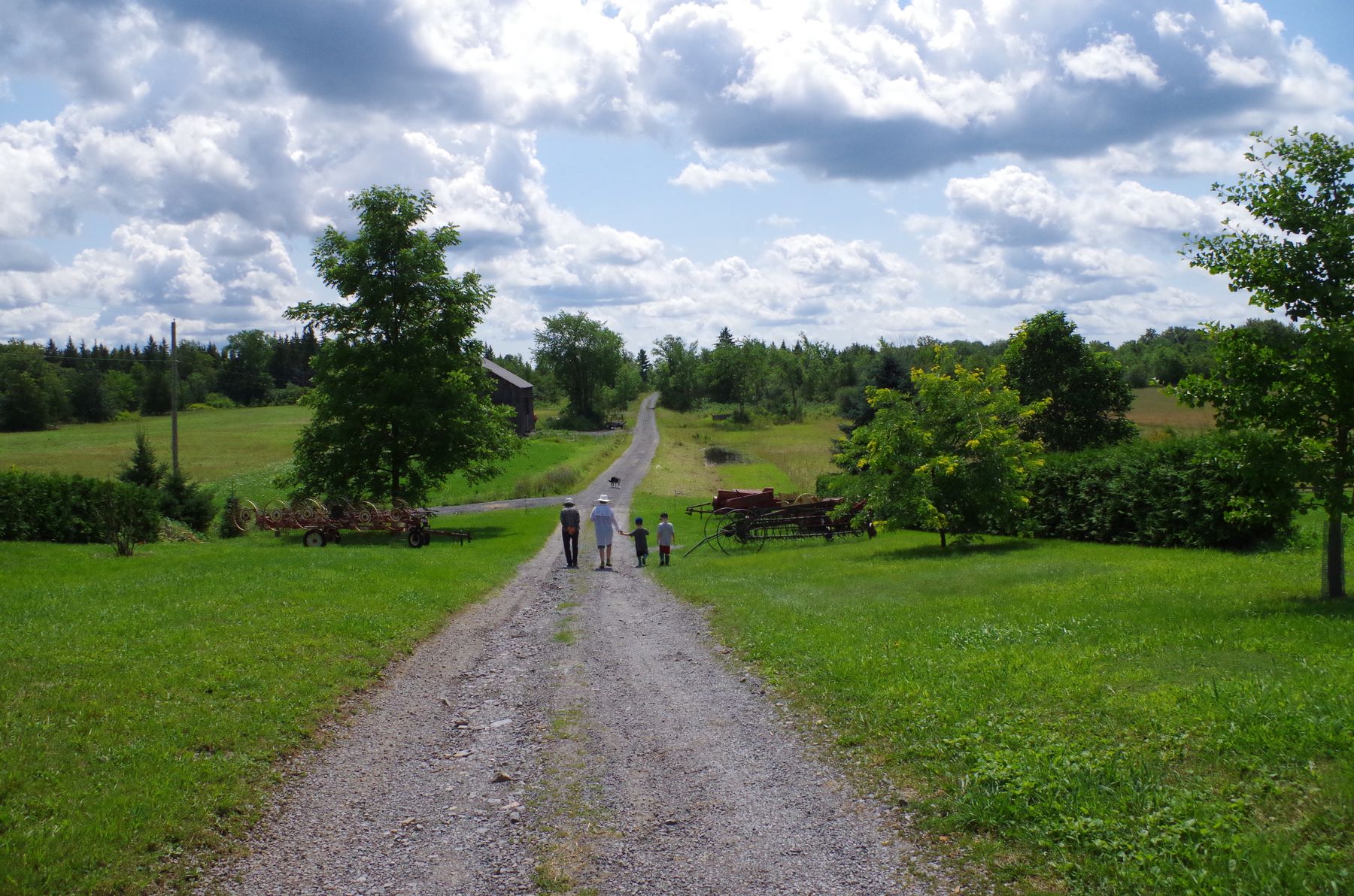 St. Isidore Farm - About Us