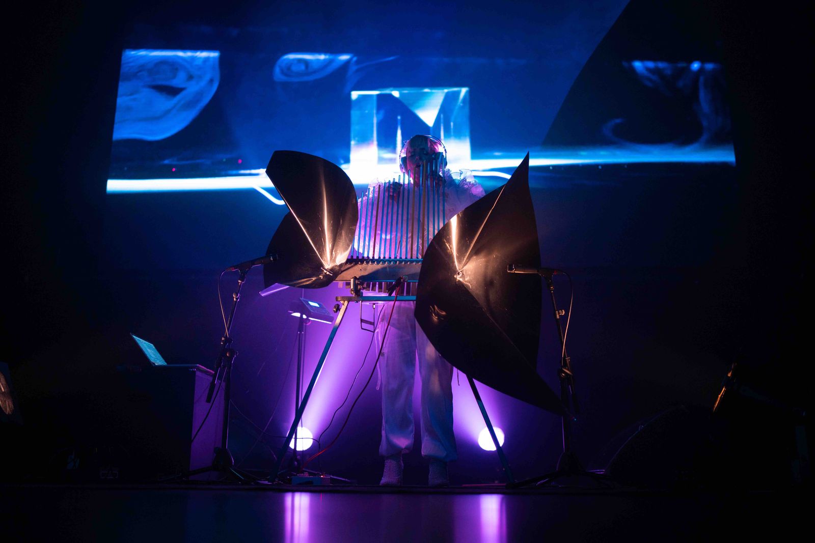 Bohemian Cristal Instrument - PHOTOS