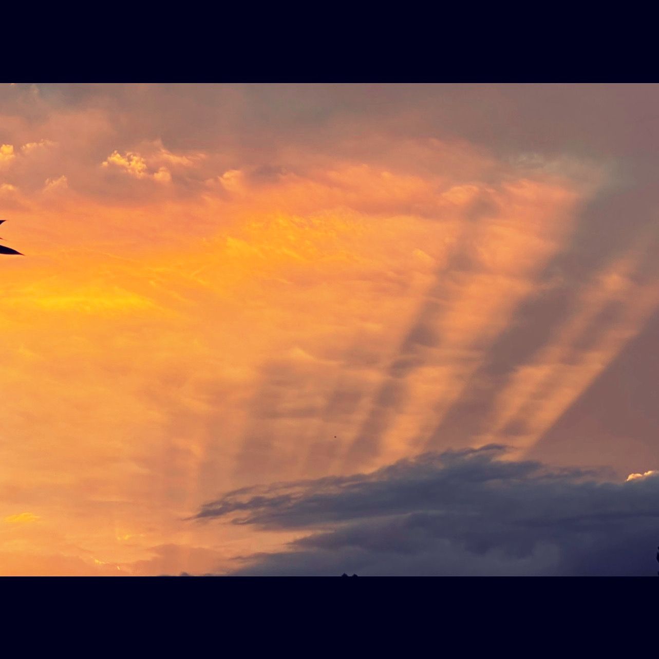 Happy Fall Equinox!!