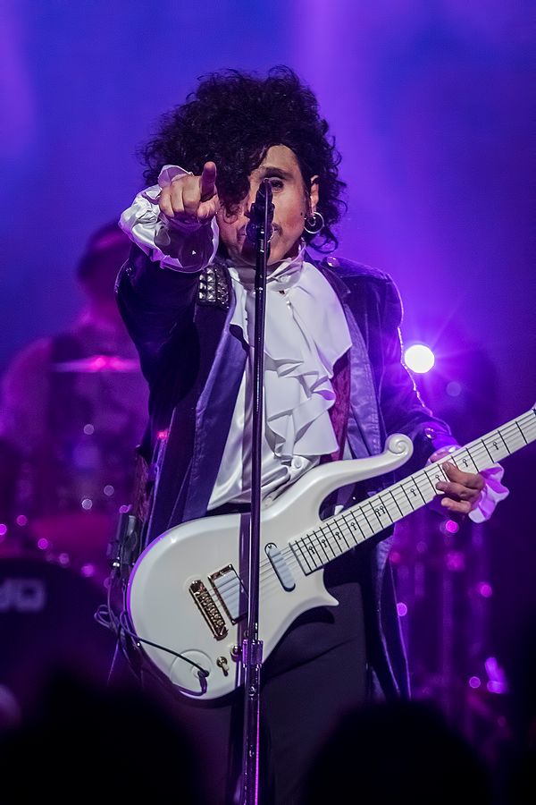 The Prince Experience - Prince Tribute Band - About
