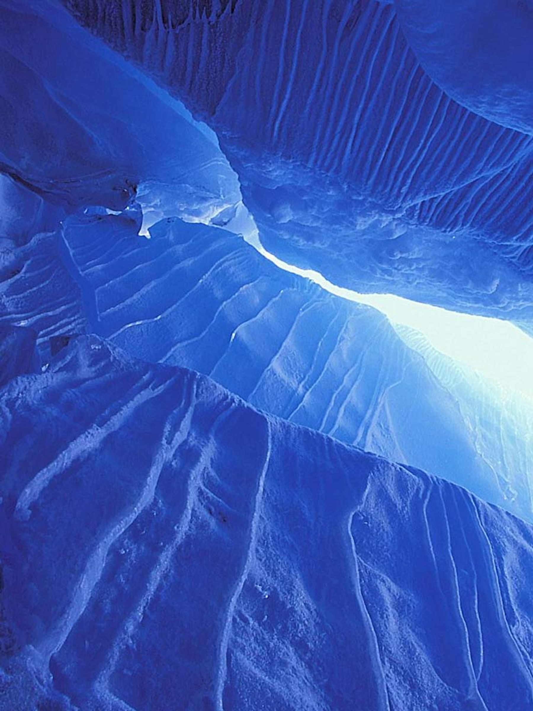 40 Below Zero - About