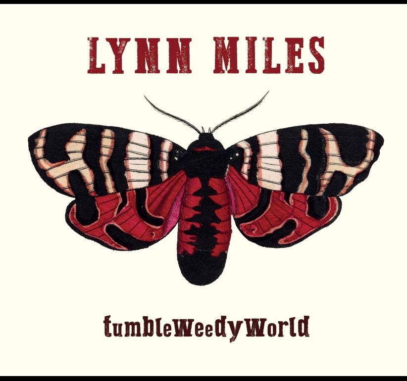 Lynn Miles - Music