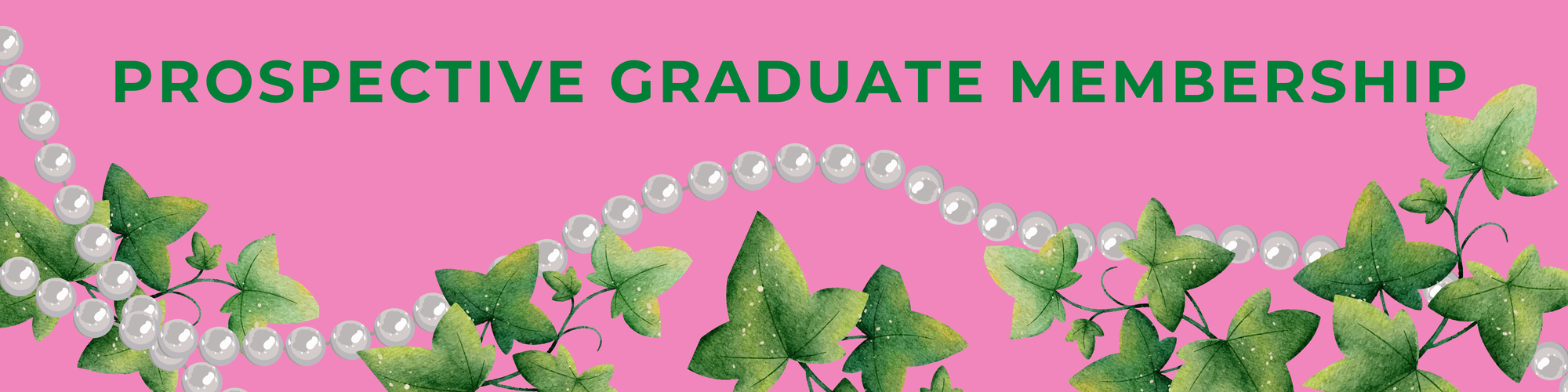 Pi Xi Omega Chapter of Alpha Kappa Alpha Sorority, Inc. - Prospective ...