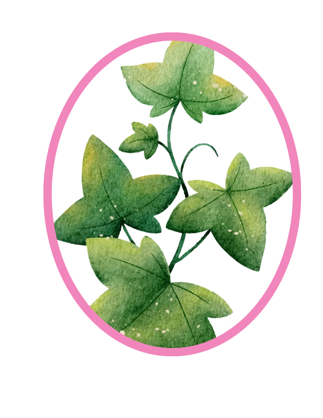 Pi Xi Omega Her-Story