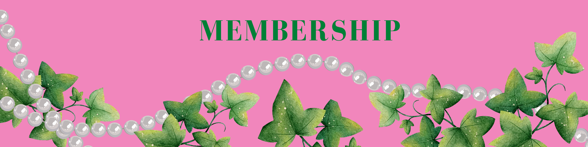 Pi Xi Omega Chapter of Alpha Kappa Alpha Sorority, Inc. - Membership