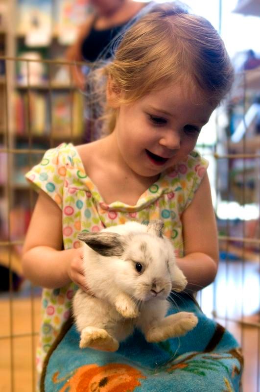 Happy Tails Flemish Giants - Bunny Rental