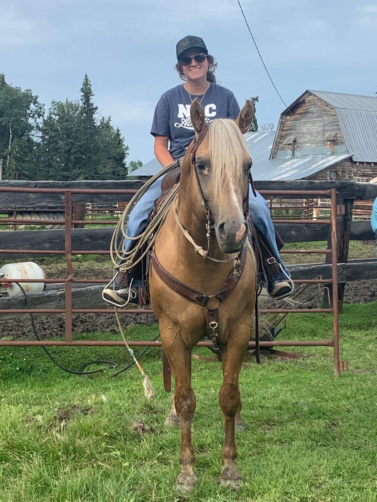 Forever Pine Performance Horses - Stallions