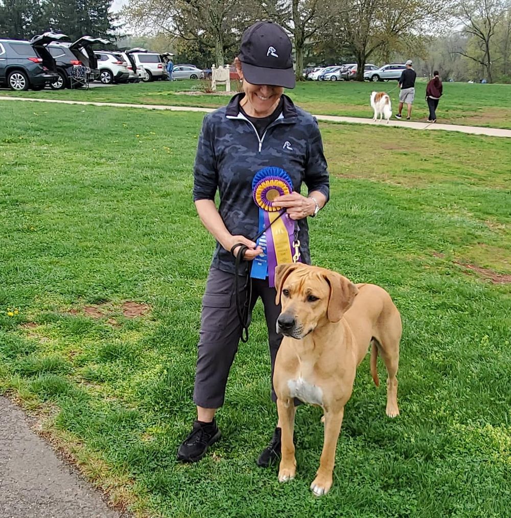 Greater Valley Forge Rhodesian Ridgeback Club