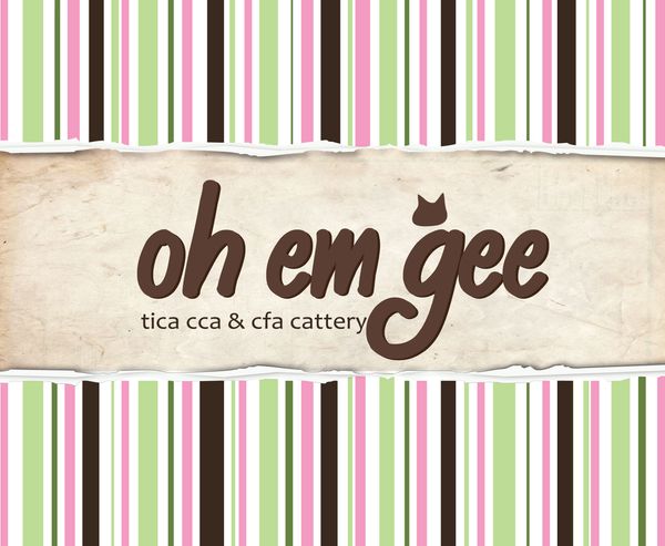 Ohemgee Cattery