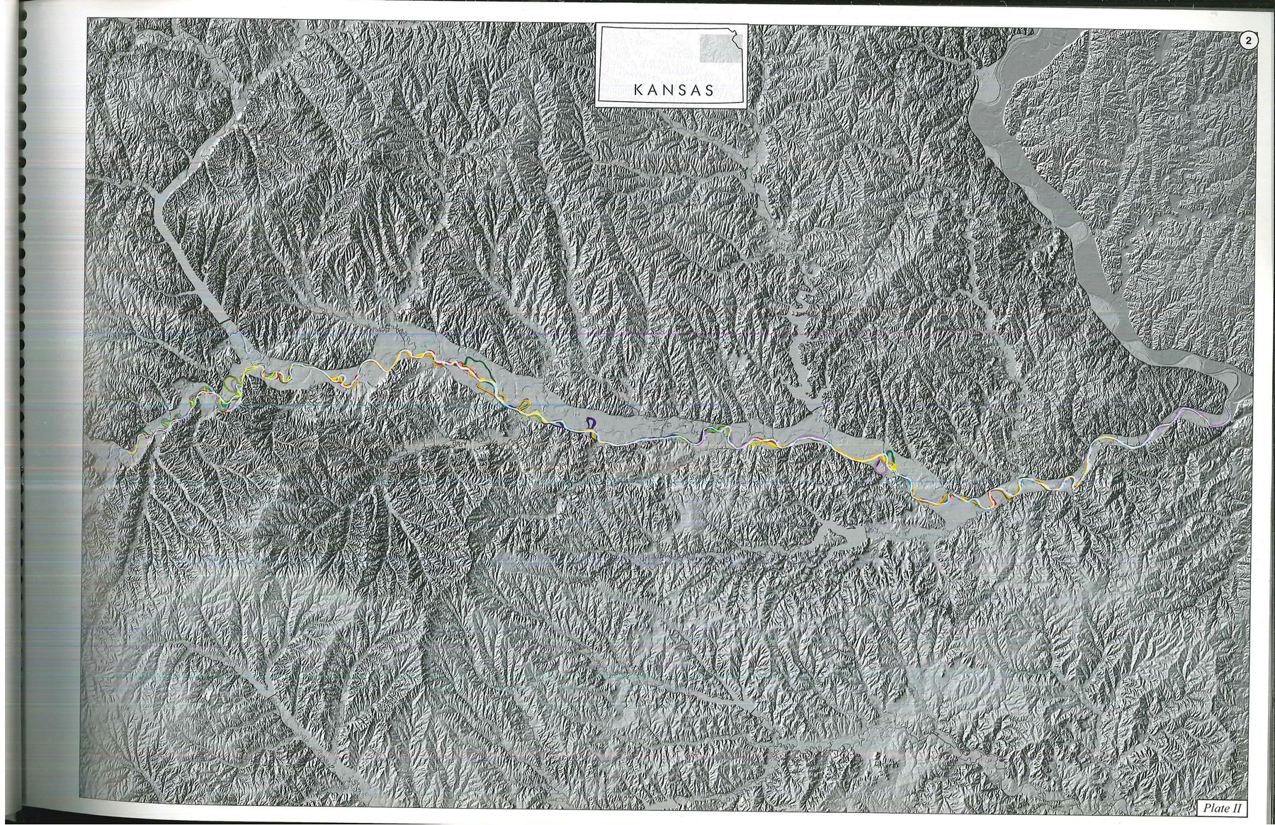 The Roseline - About