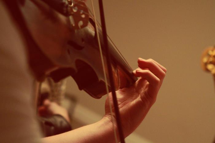 www.jamesviolin.com