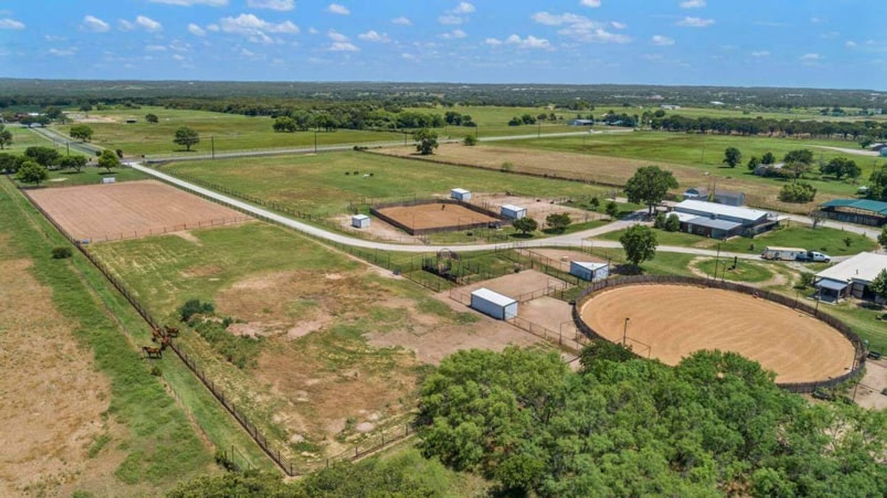 BusterHorses.com - About Us