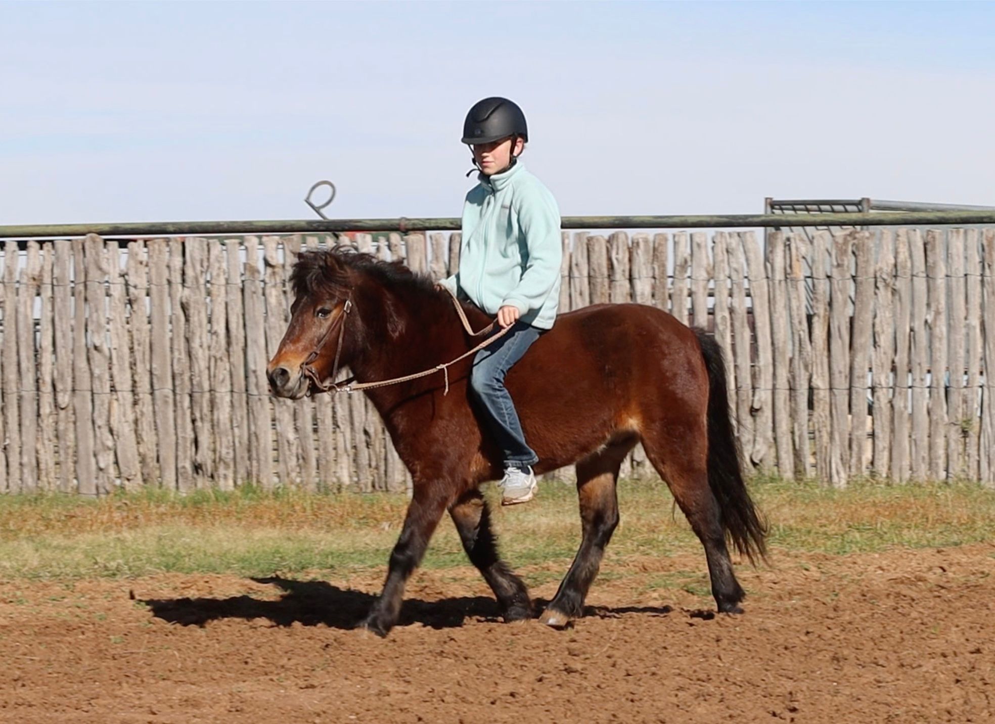 BusterHorses.com - Pony Pen