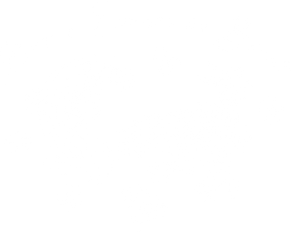 Steve Edmonds Band - The Band