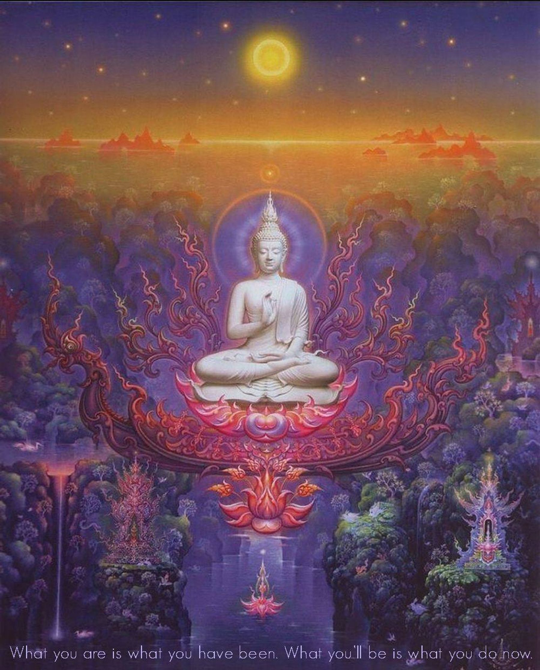 Tom Rossi | Psychedelic Integration | Group Therapy