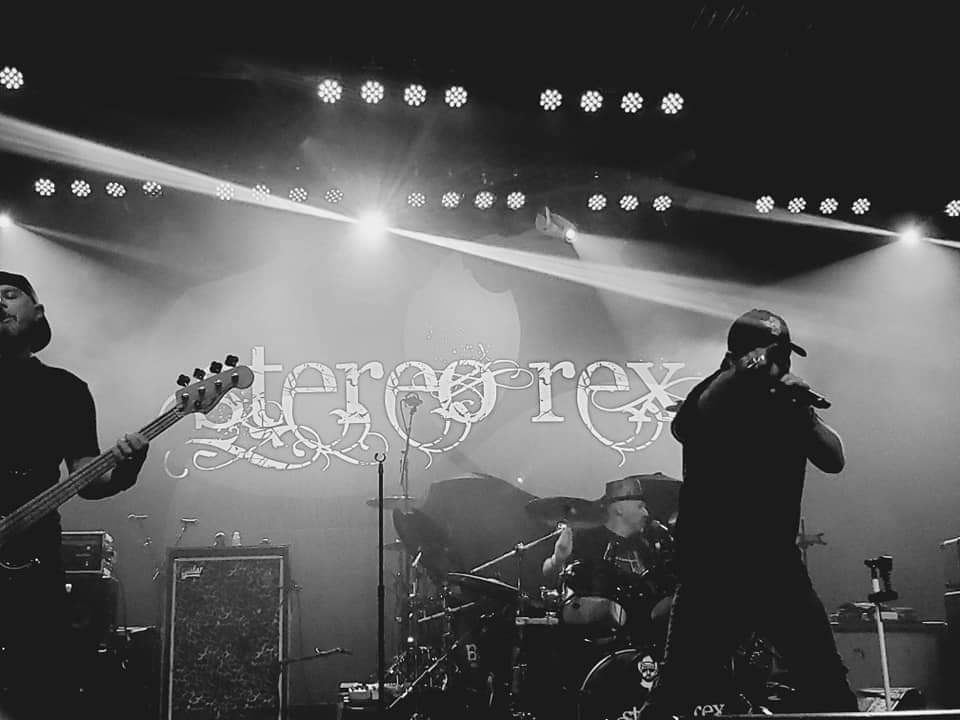 Stereo Rex - Photos