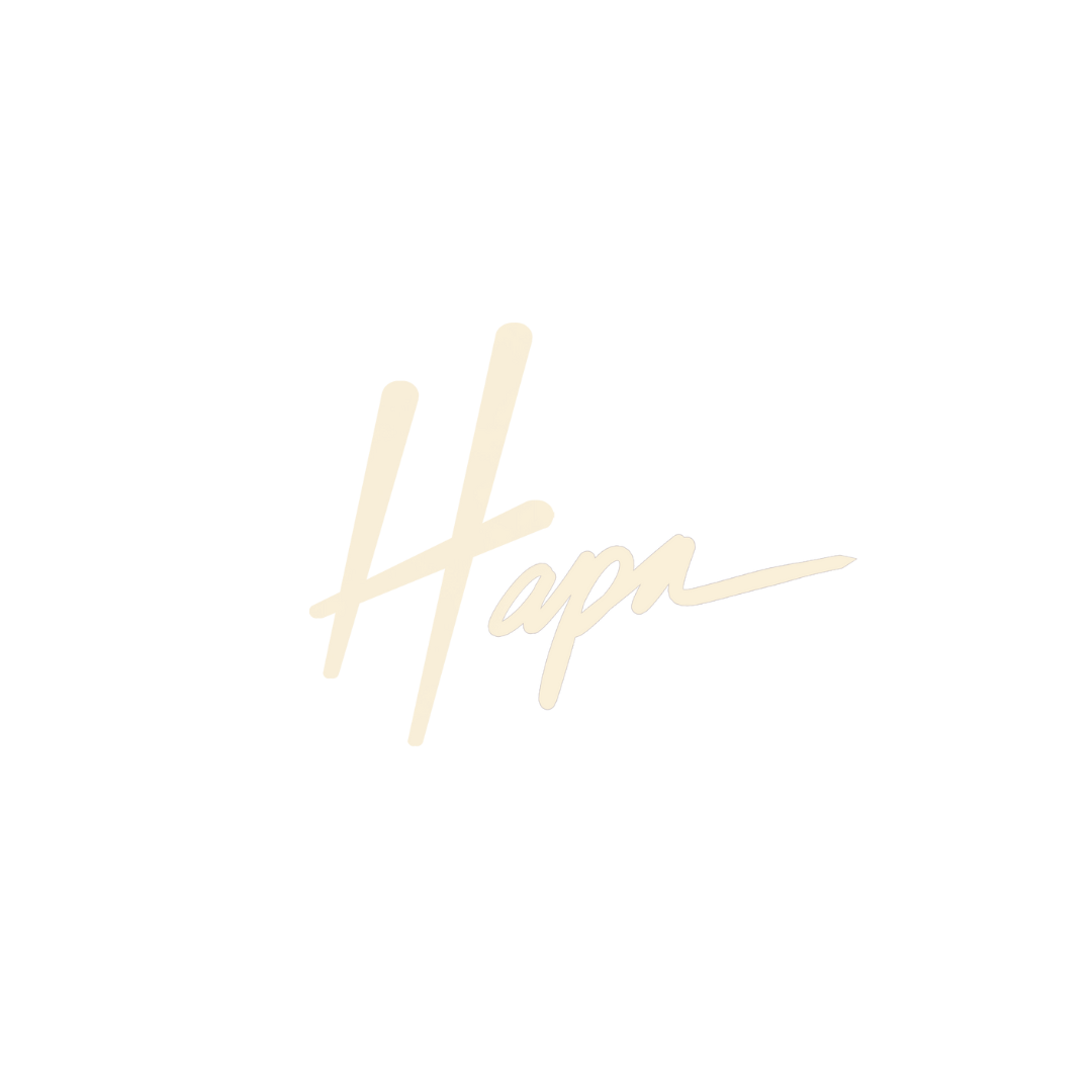 DJ HAPA