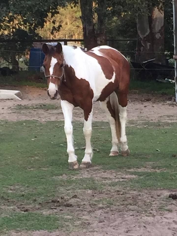 Amdak Acres - Photos