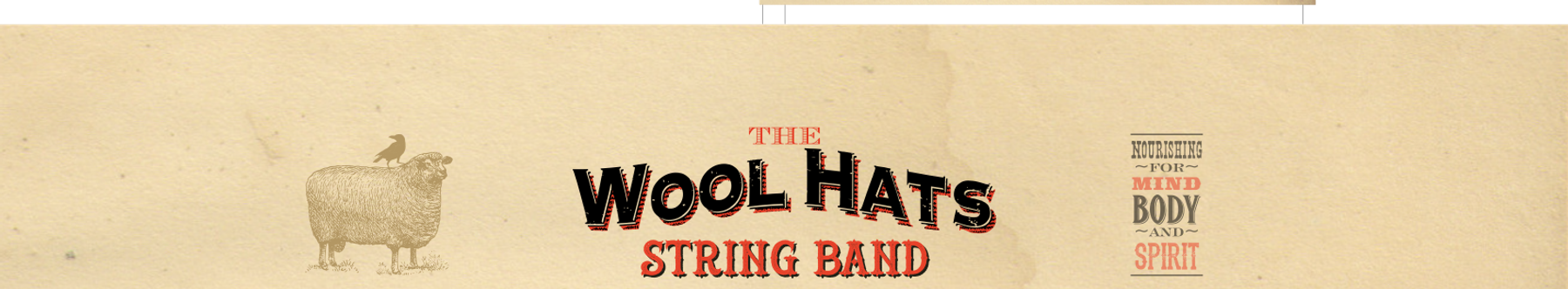 The Wool Hats String Band - About