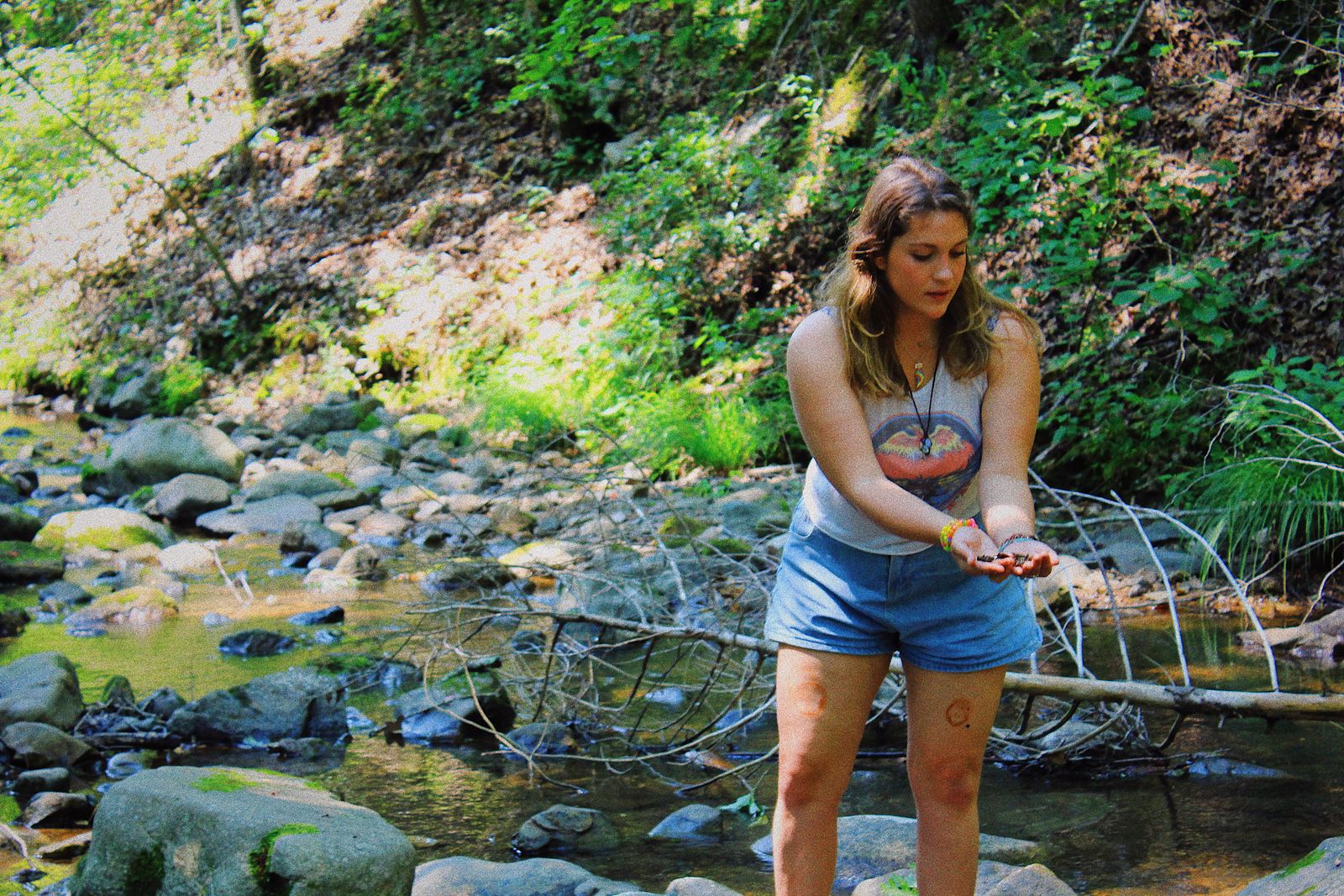 The Isabel Bailey Band - Bricks and Stones