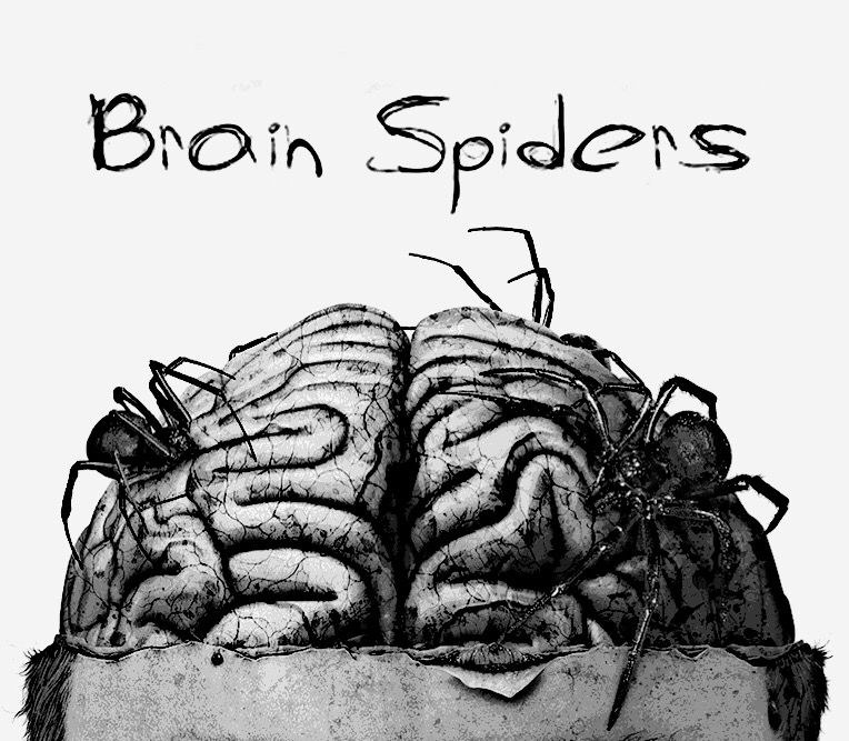 Brain Spiders - Photos