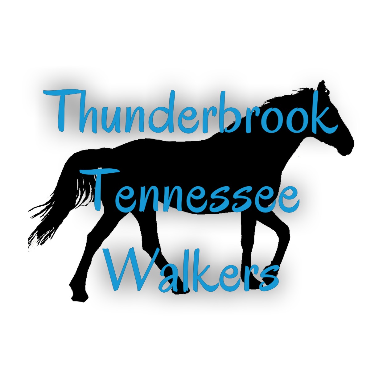 Thunderbrook Tennessee Walkers