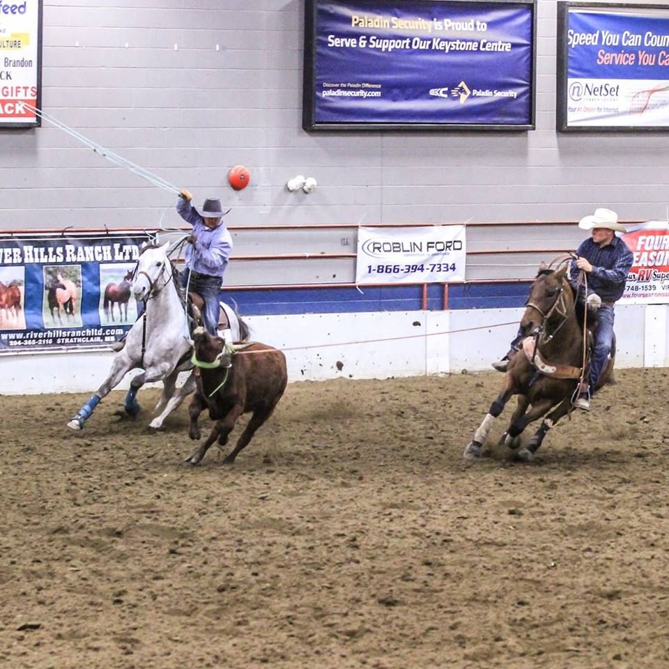 River Hills Ranch Ltd. - About Our Horse Program