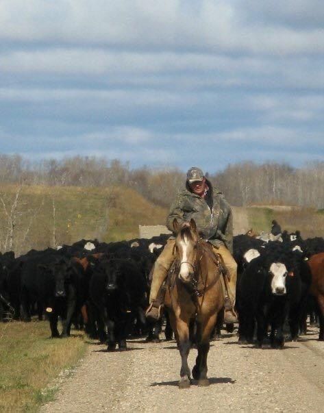 River Hills Ranch Ltd.