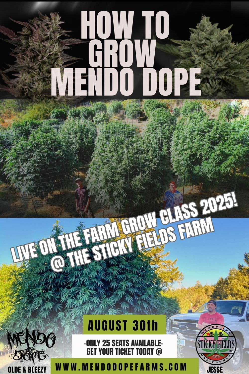 Mendo Dope Farms
