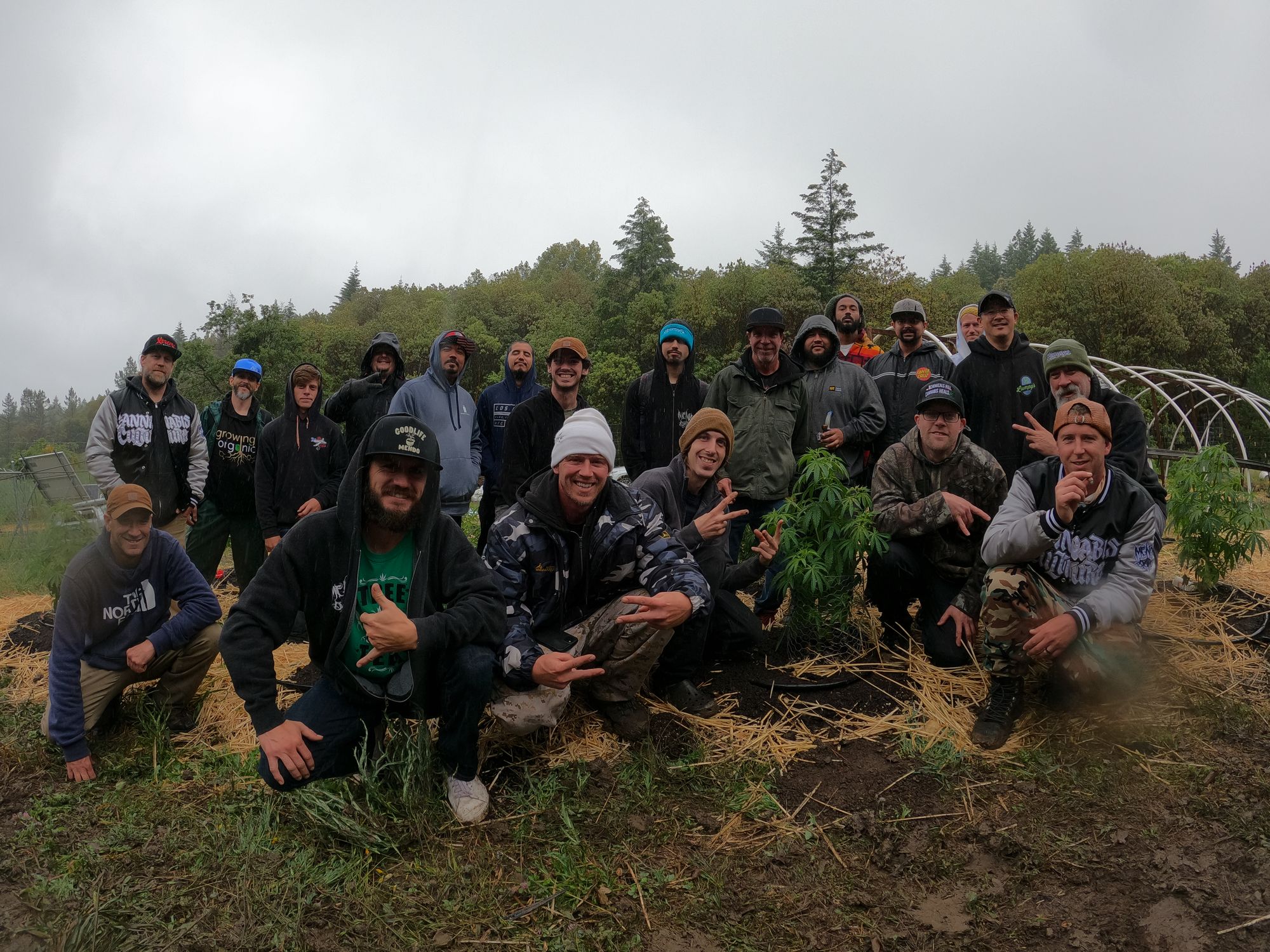 Mendo Dope Farms - How To Grow Class