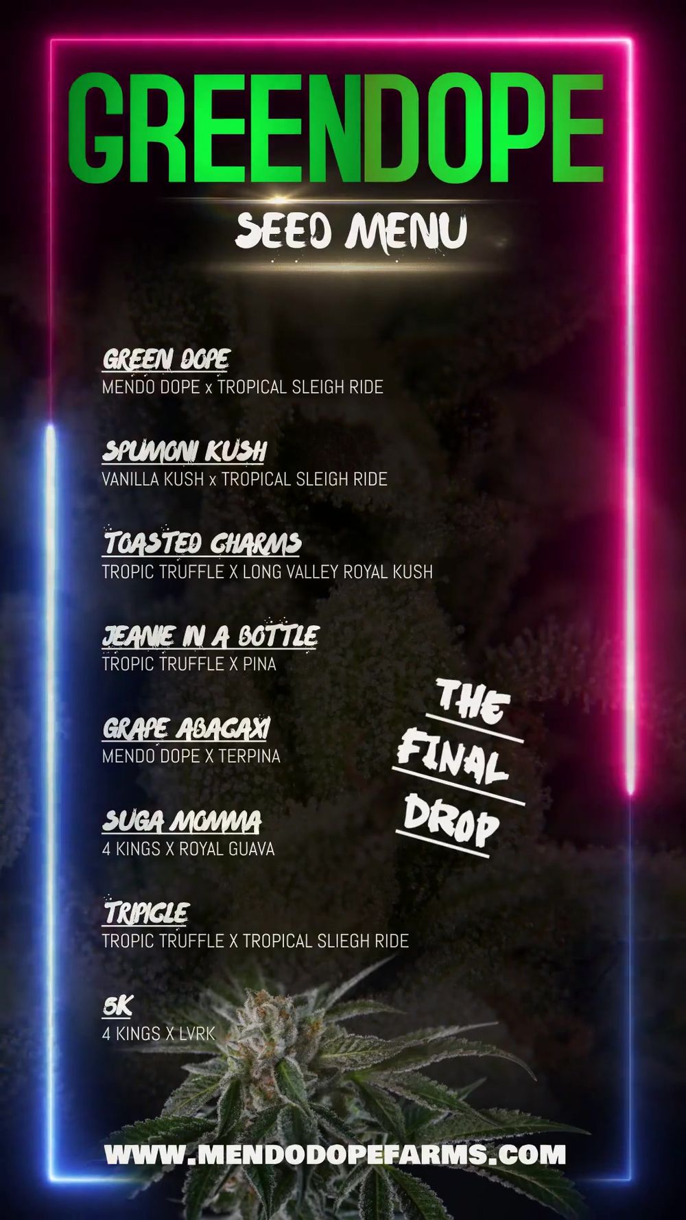 Mendo Dope Farms - Genetics
