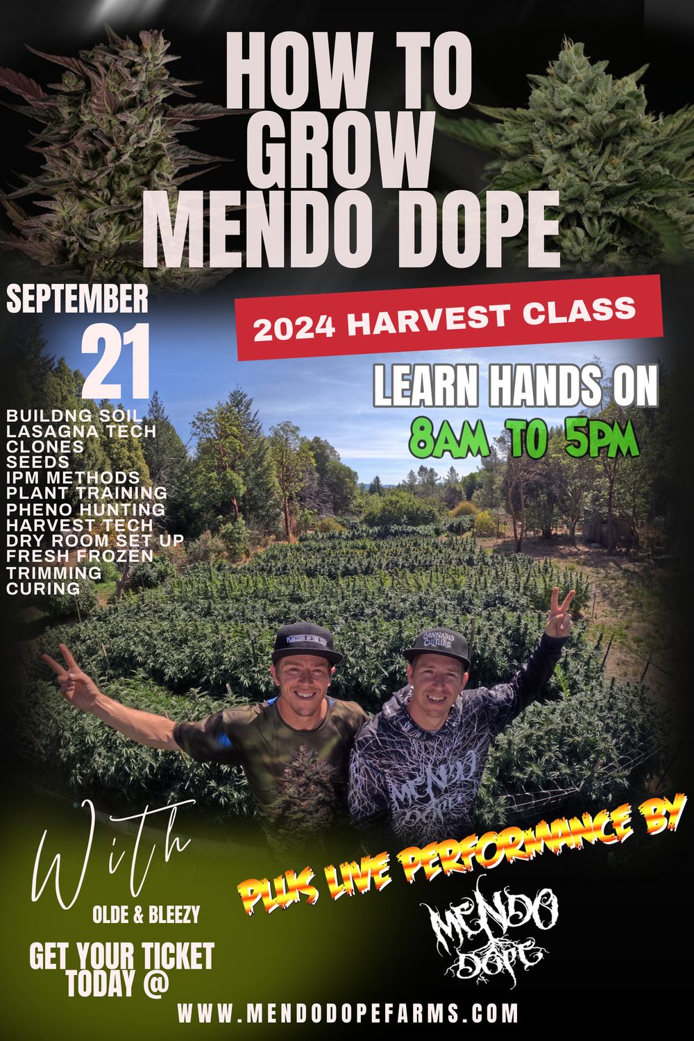 Mendo Dope Farms