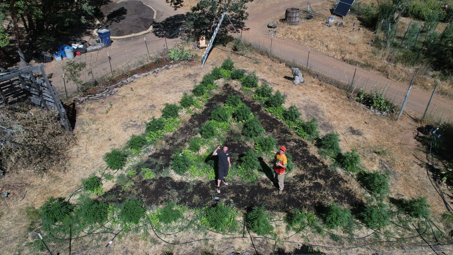 Mendo Dope Farms
