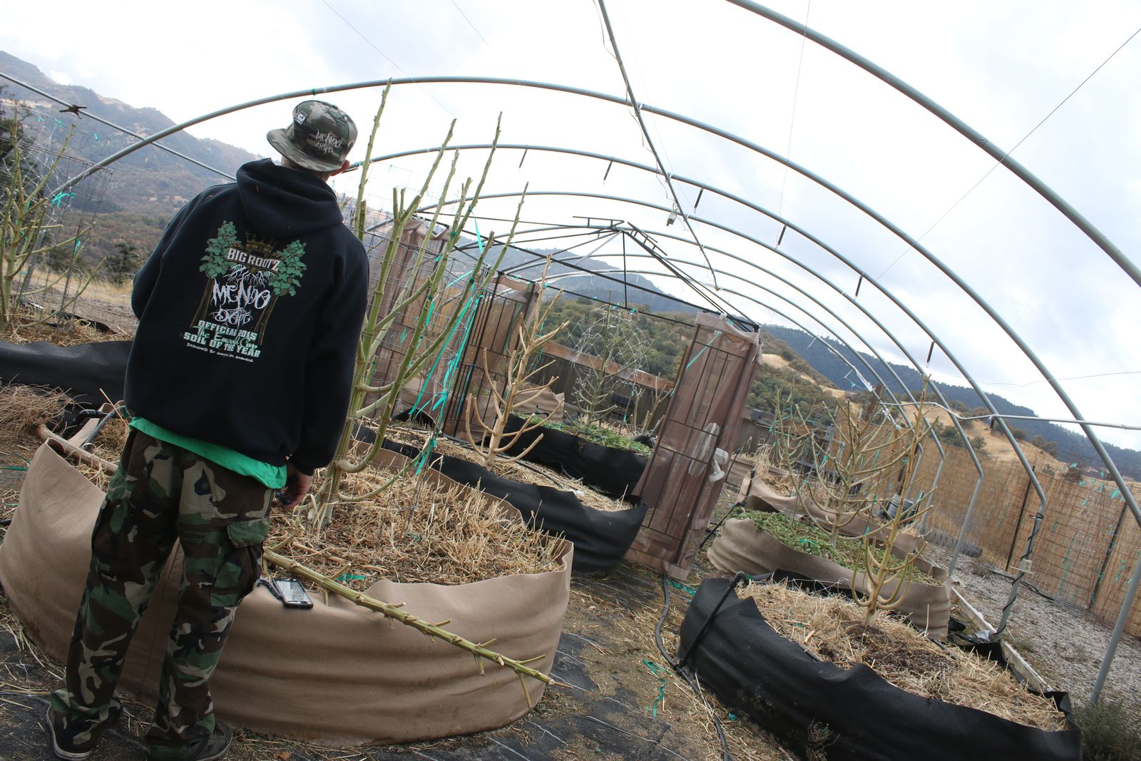 Mendo Dope Farms - How To Grow Class