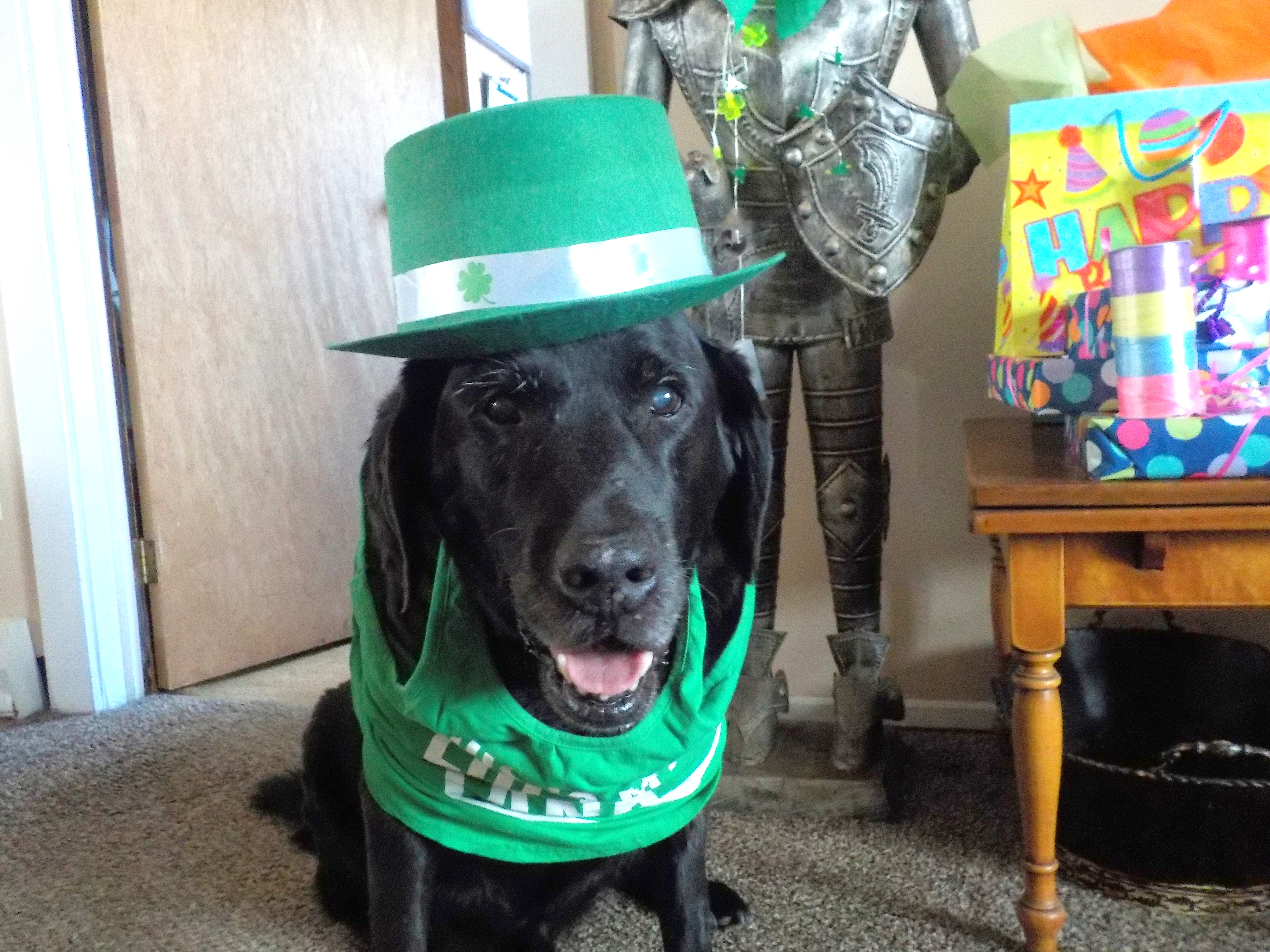 It's St. Patrick's Day! Time for my annual St. Paddy's Day Playlist!