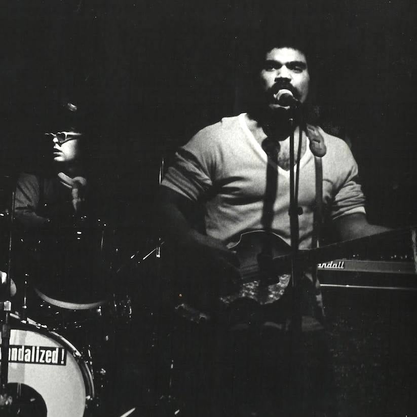 THE HISTORY OF THE FREELANCE VANDALS