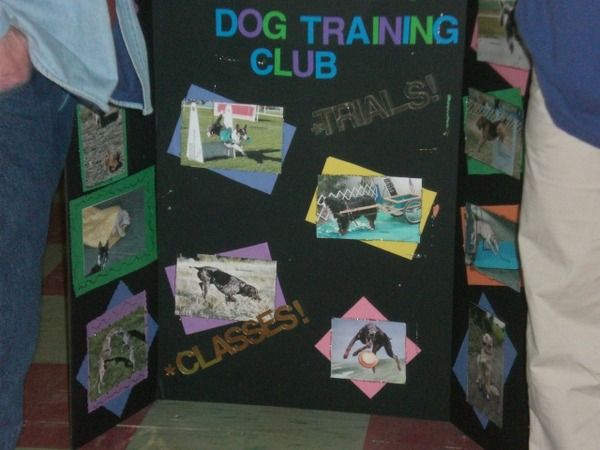 Electric City Kennel Club - Meet The Breed