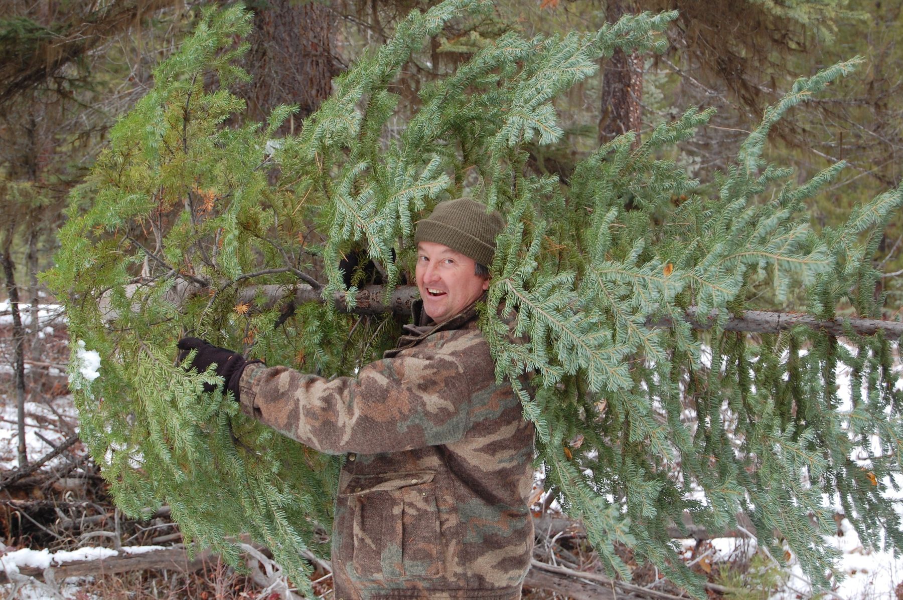 KenBevis.com - About