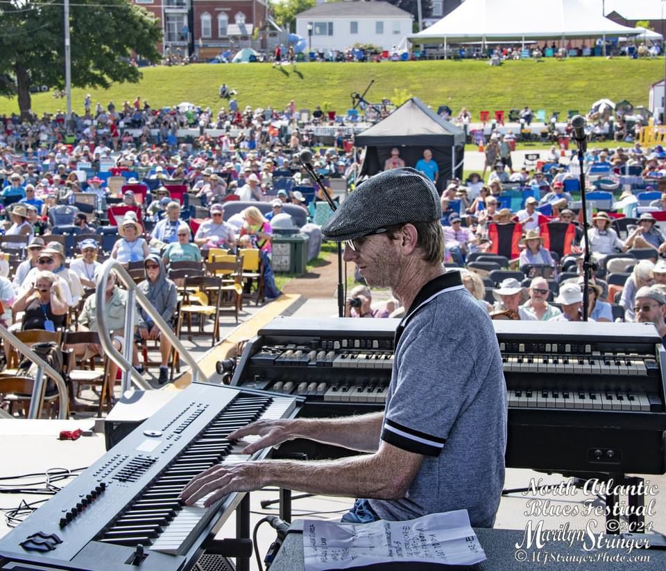 Mark Hummel - The Blues Survivors