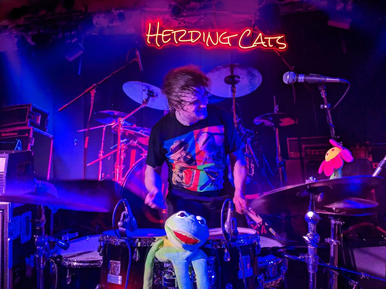 Jon Bolton Music - Media