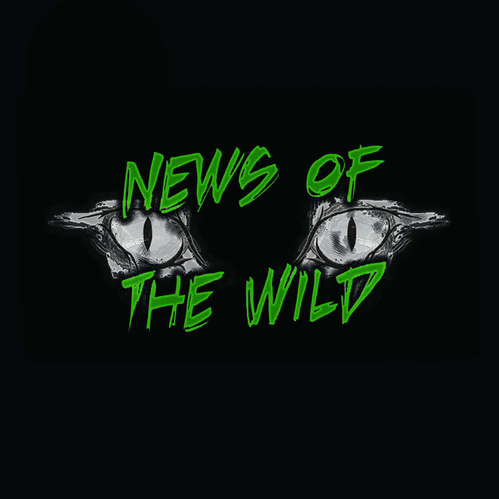 NotW #1 - Overworld Unlocked!